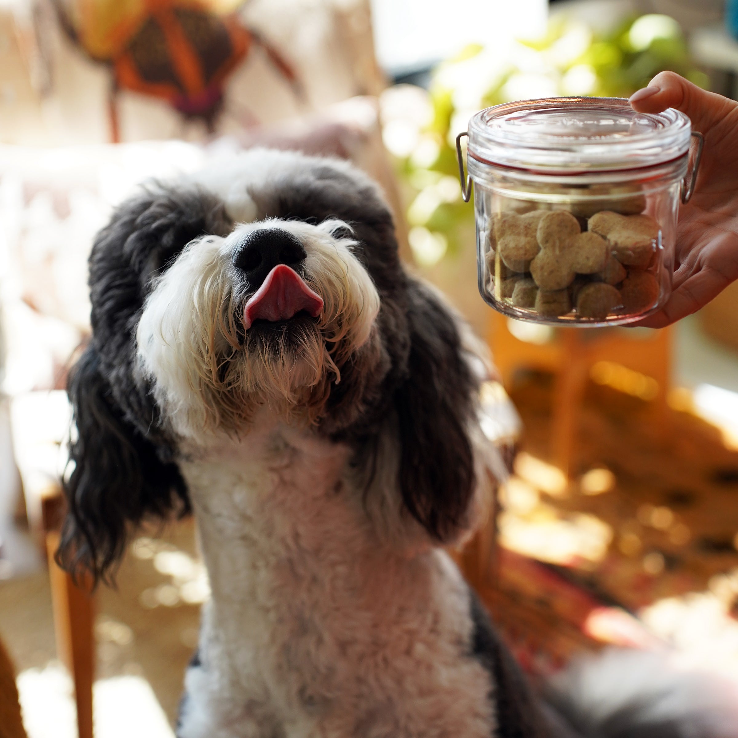 Italian Premium Canning & Food Jar XL | 17oz | Lock-Eat | 1 Piece ...